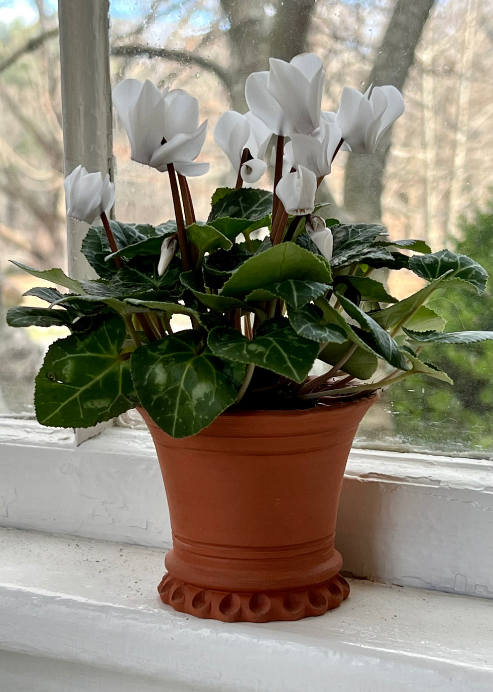 Egg and Dart Pot – Coldbrooke Pottery